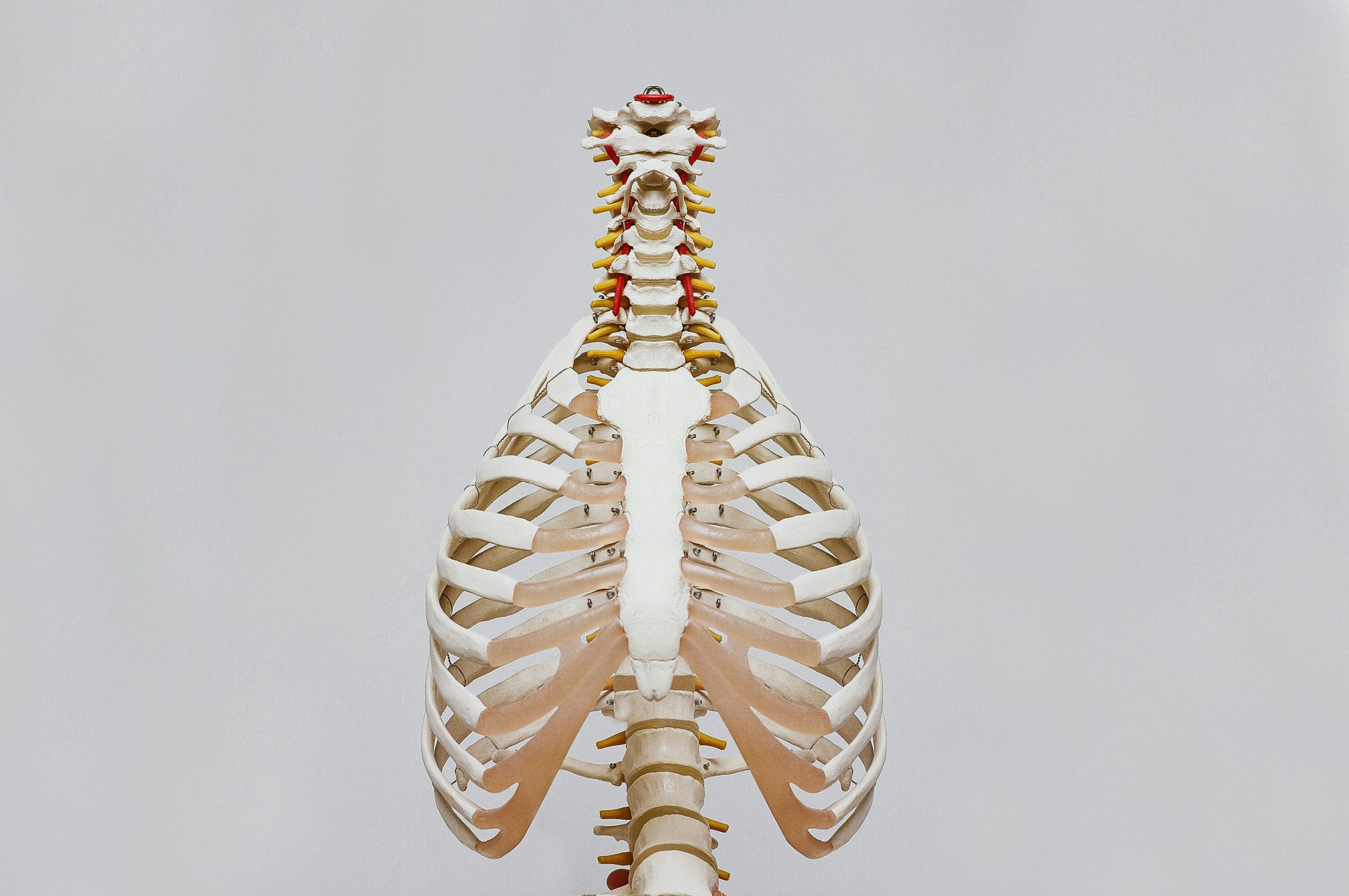 The Process of A Bone Adjustment in Singapore - The Random Singaporean